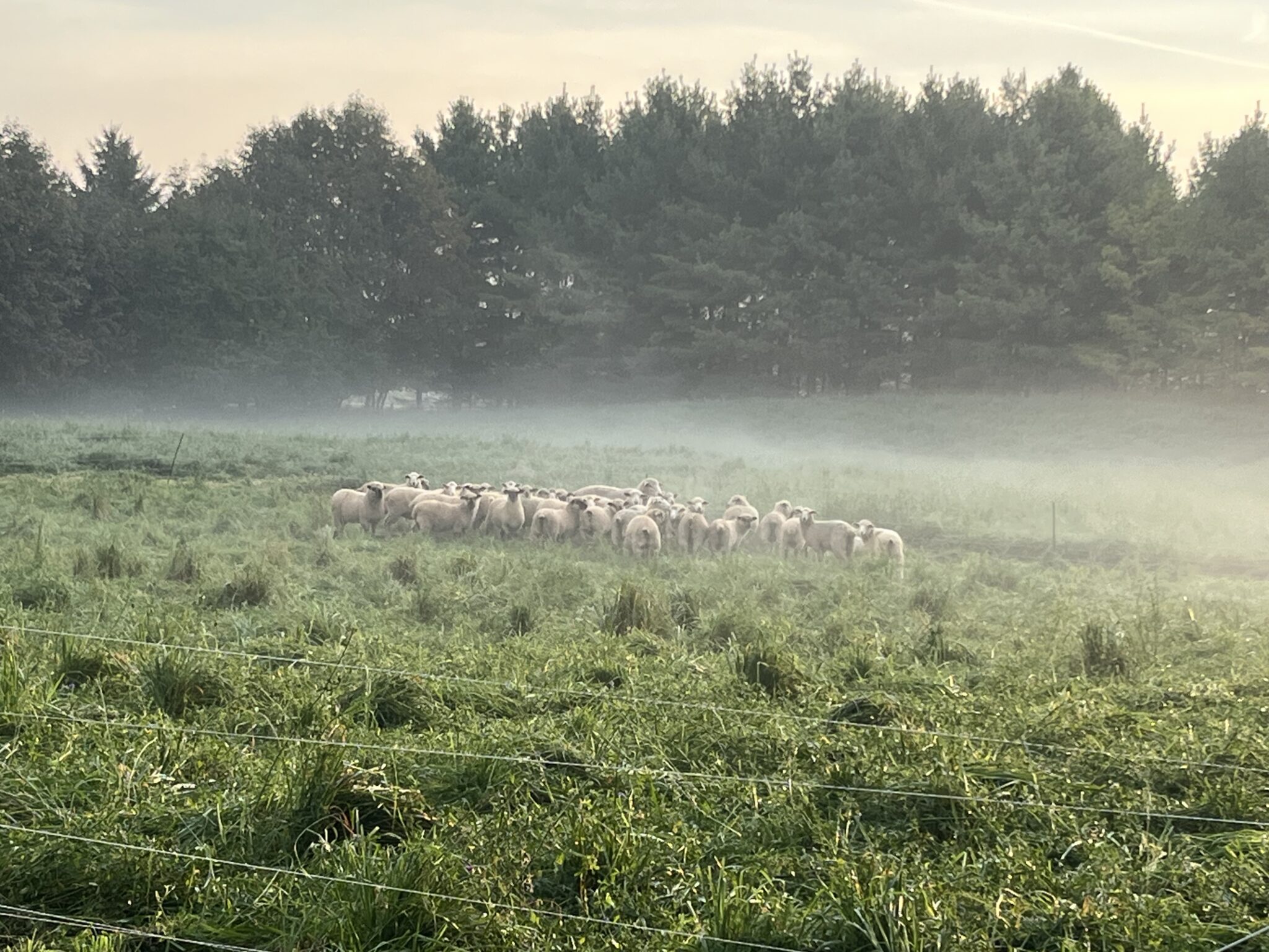 About Us | Lumen Christi Farm Catholic Retreat Center
